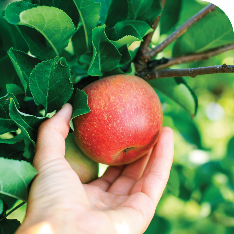 High quality crop growth & protection products from Biostadt